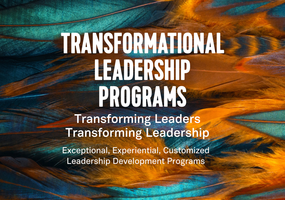 Breakthrough Innovation Consulting & Programs | From SOL | Switch On ...