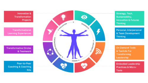 Switch On Leadership: Transformational Leadership, Teams & Innovation ...
