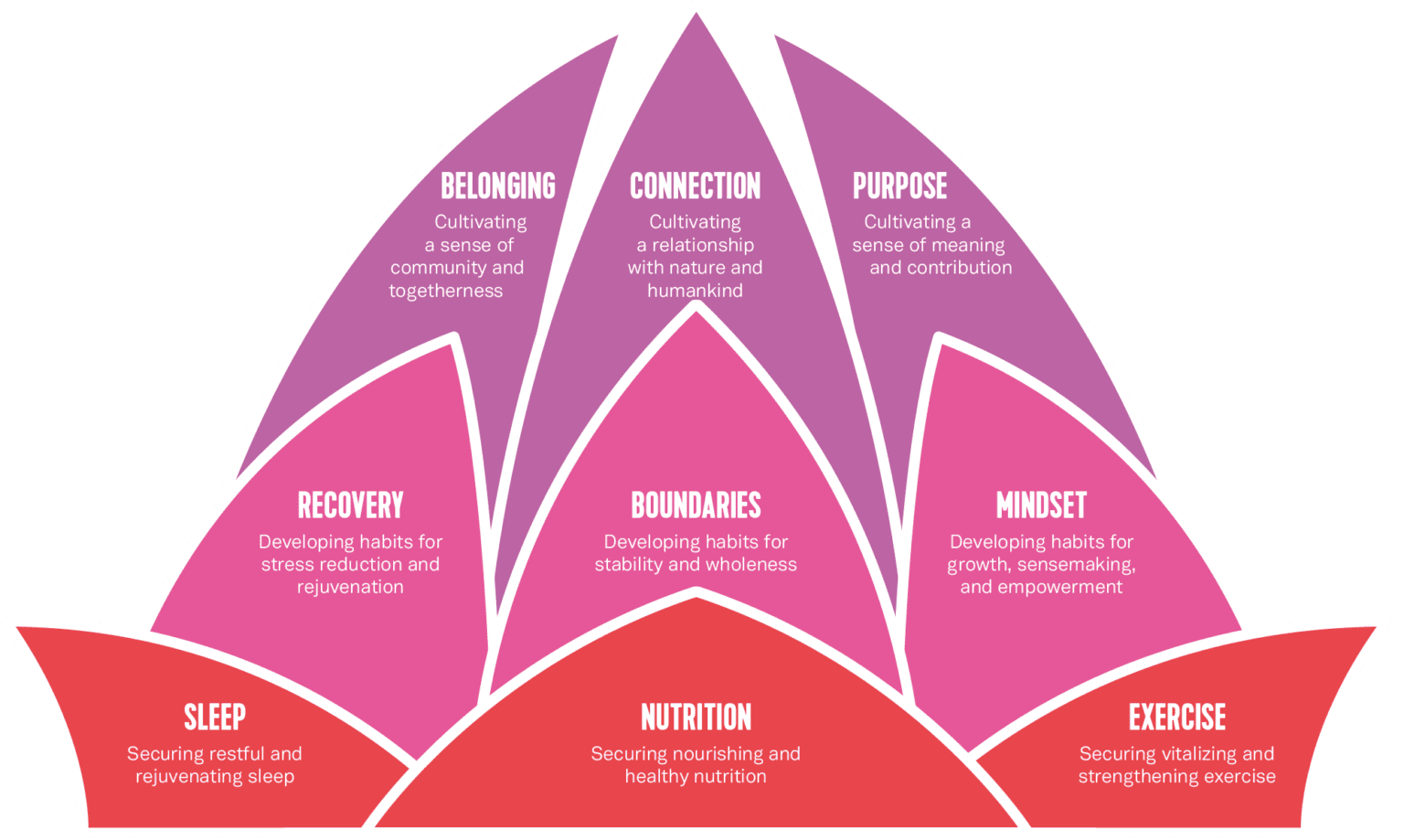 The Resilience Mastery Toolkit | SOL