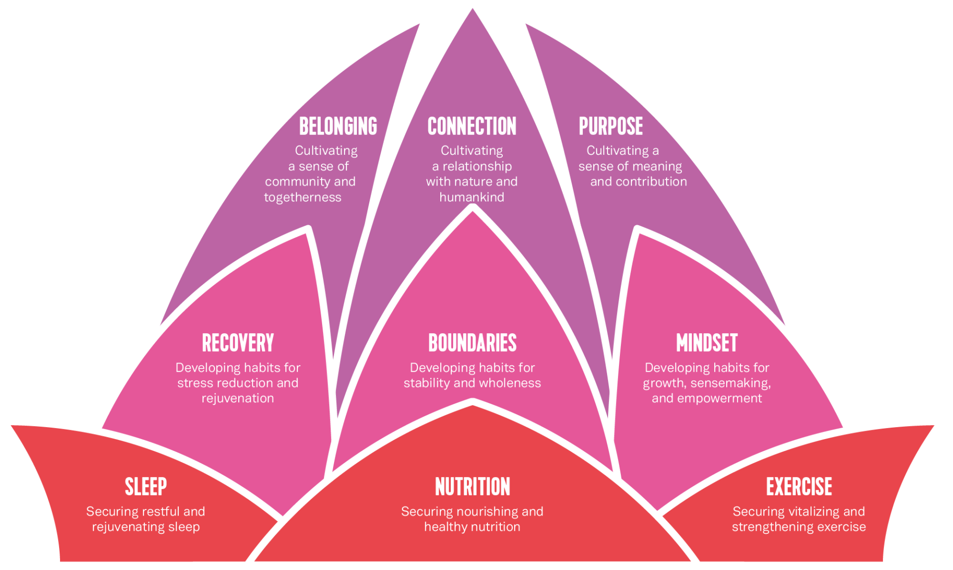 The Resilience Mastery Toolkit | SOL