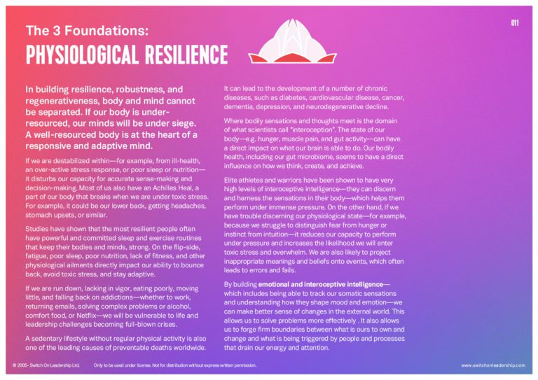 The Resilience Mastery Toolkit | SOL